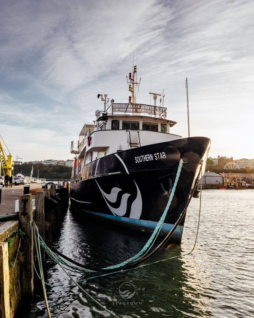 Displaying 186 boats for sale matching - Boats.co.uk